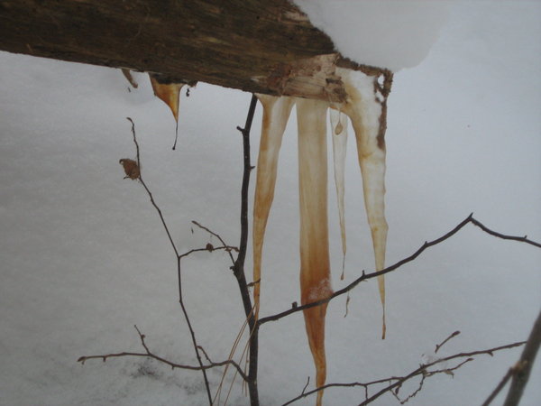 Deformutilation: Frozen Tree Sap