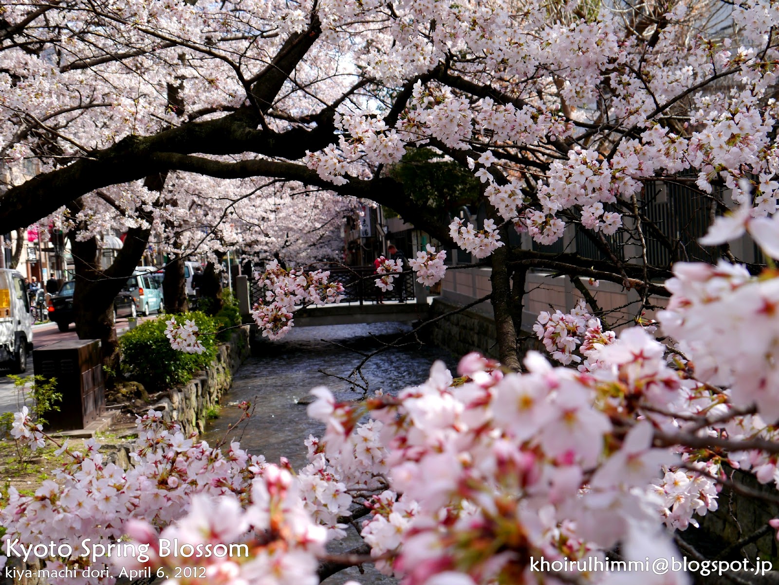 My Thought and Photography