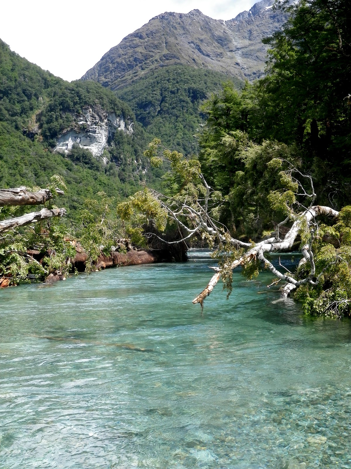 troyfanclubfederation