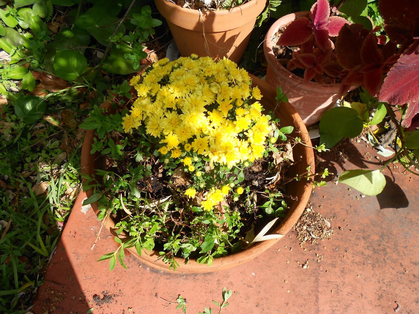 LRC Digital Newsletter: October 2019