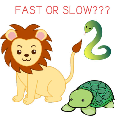 Fast And Slow Animals