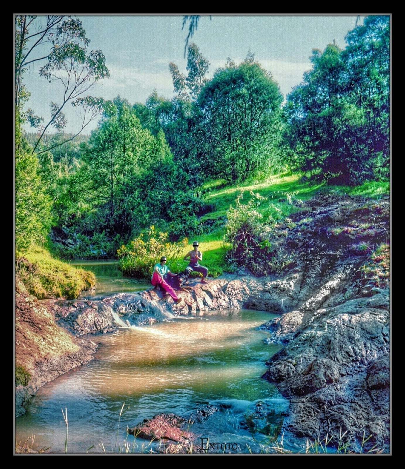 The High Plateau of Entoto Natural Park