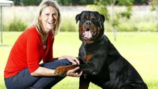 Rottweiler dog facts & information