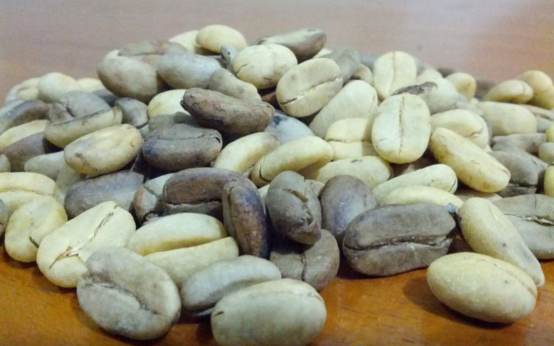 Ciri dan Karakteristik Kopi Excelsa ~ Kerinci Coffee