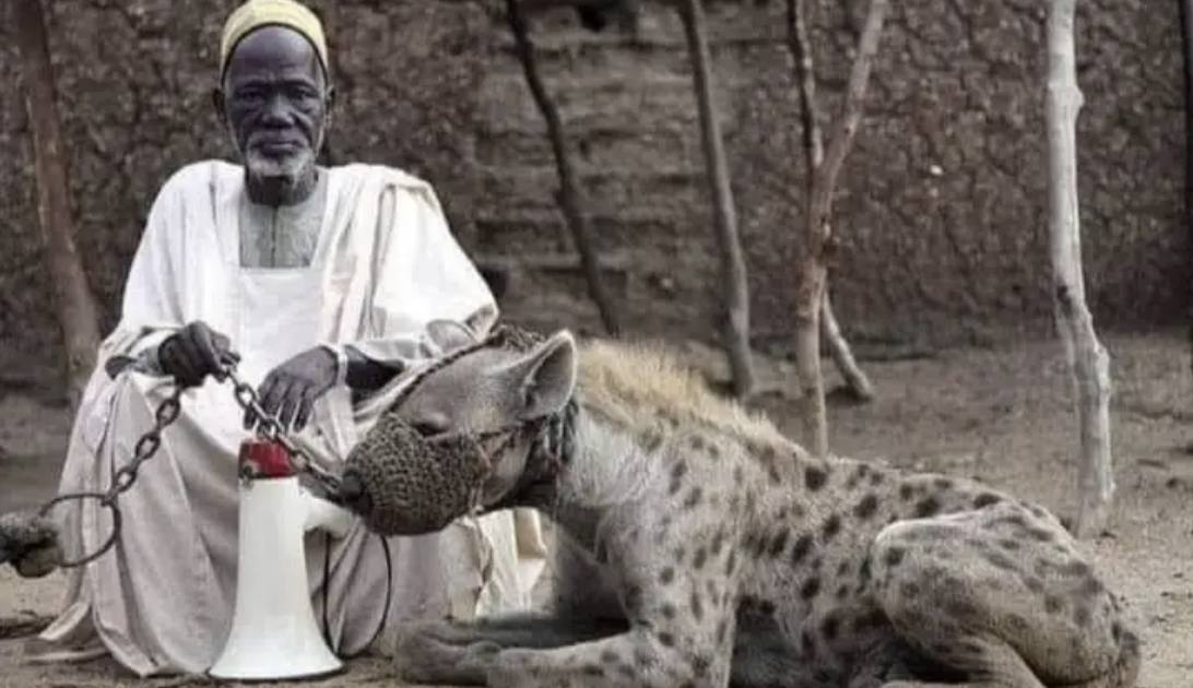 ORTHODOXOLOGIE: La mansuétude