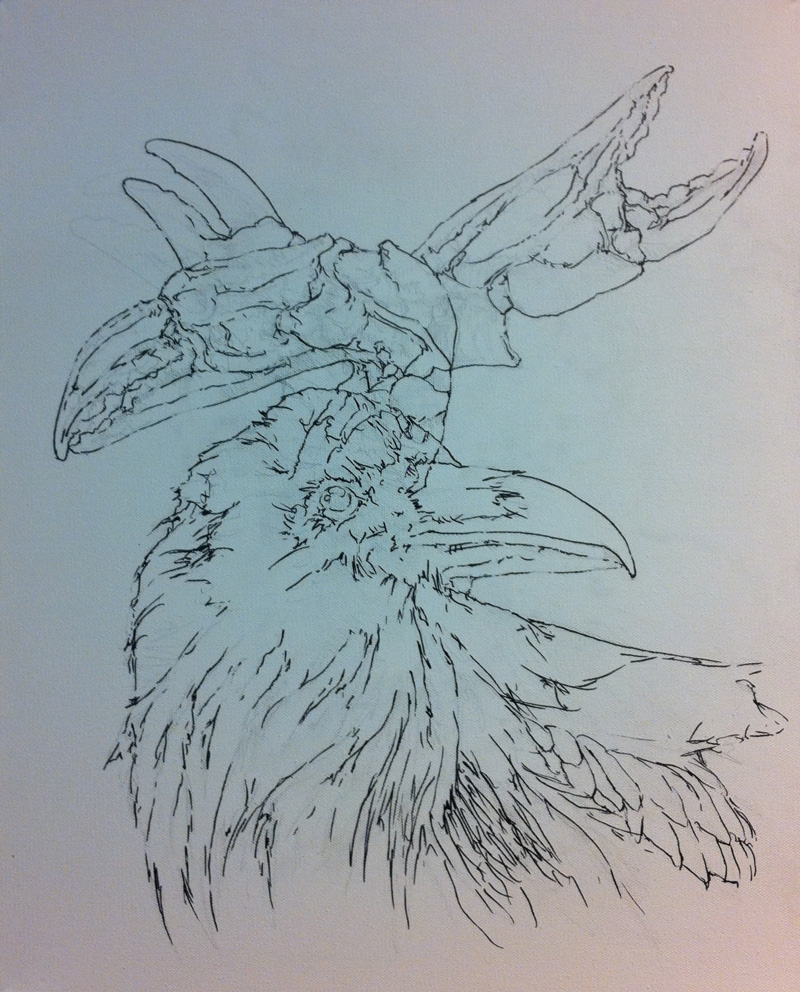 This and That - News and Updates From Artist Jon Shaw: Hybrid Animal Pieces