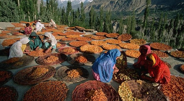 The Healthy Hunza - General knowledge