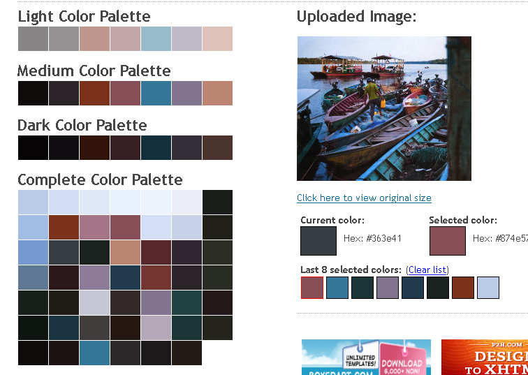 Idaho Beauty's Creative Journey: Color Palettes