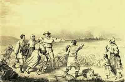 Sârbi și bulgari - Enciclopediae