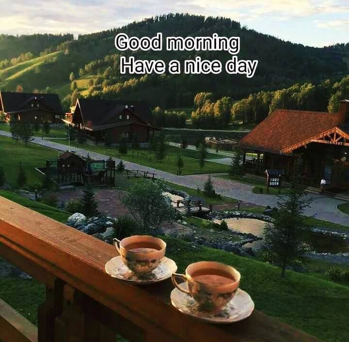 Best 30+ Very Beautiful Good Morning Images || Good Morning Images ...