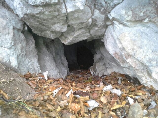 ŠTAJERSKI JAMARJI: Raziskovali na gradu Ojstrica