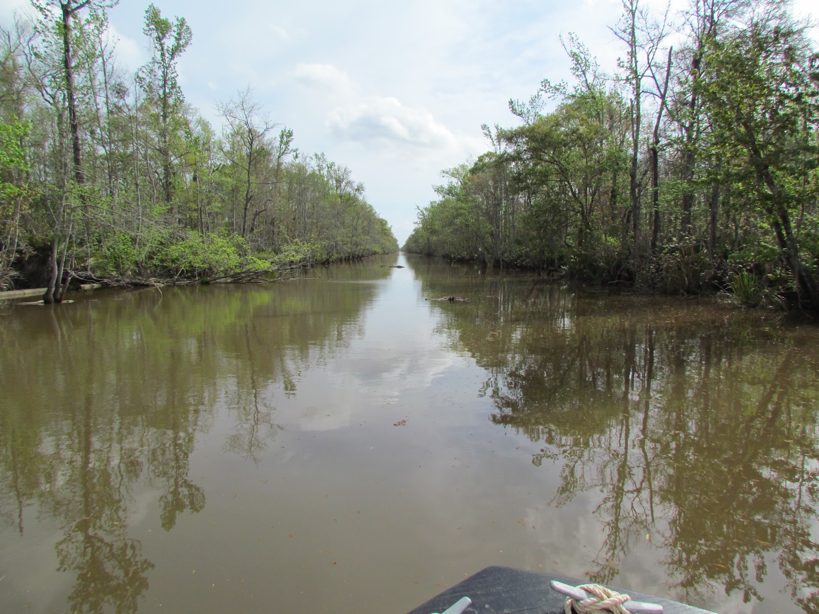 KnotSoFast Tugboat Travels: Swamp Tour - Wednesday 3-21-2012 - Dead ...