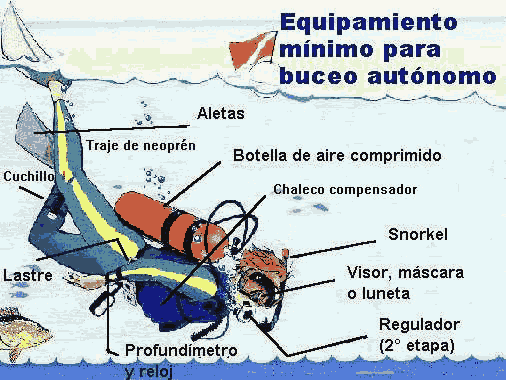 Conoce el mundo submarino: Equipo de buceo