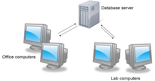 DATABASE SERVER