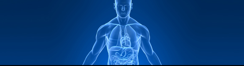 Q & R (rebuffering): Useless Body Parts