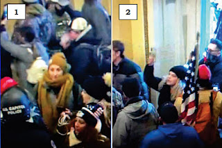 Rosa Rubicondior: Trumpanzee News - Right-Wing Capitol Insurrectionists ...