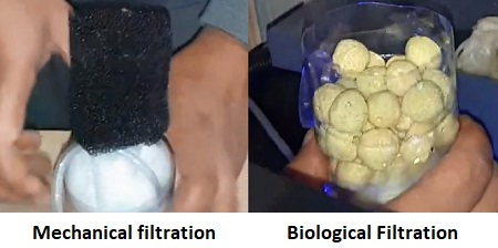 DIY Aquarium Internal Filter In Under 20 Min