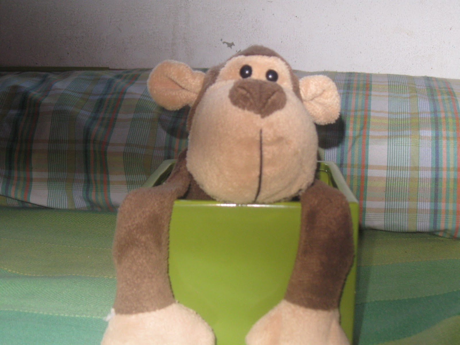 yo soy MATEO: mono