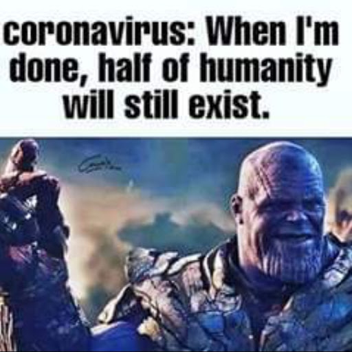 Top 10 Thanos Snap Memes