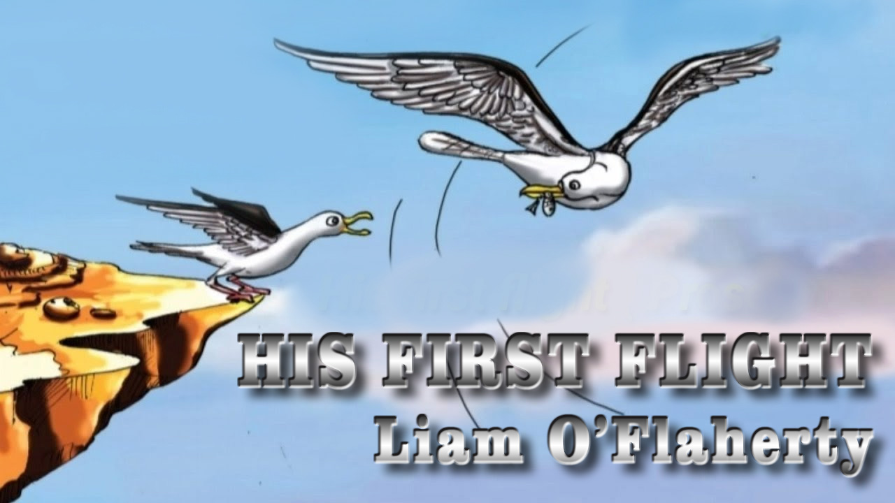 MAGIS: His First Flight, Liam O'Flaherty (Exercise)