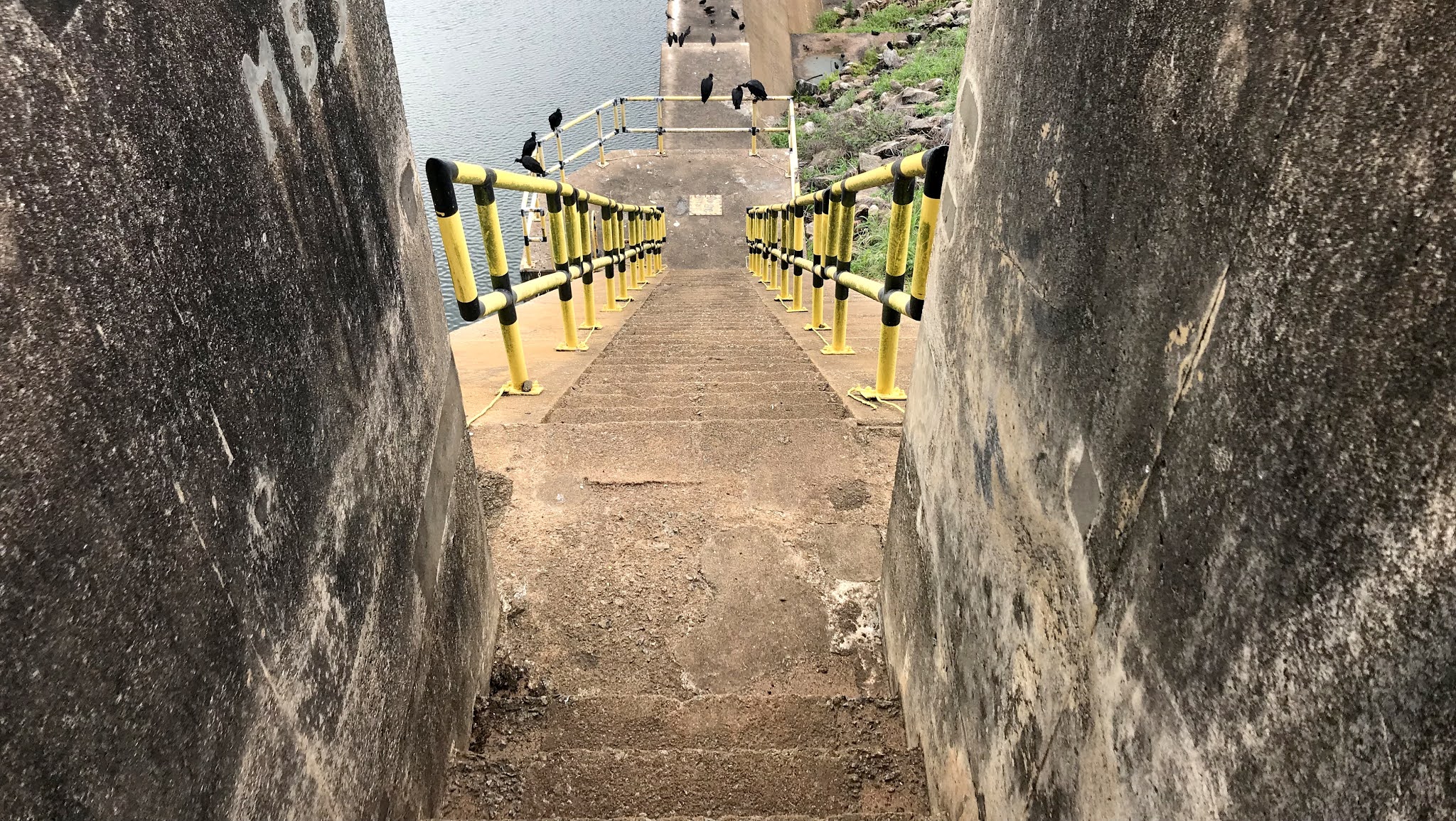 SáimonRio: 2021.01.02 | REPRESA DA UHE DE SAMUEL【S.RIO】