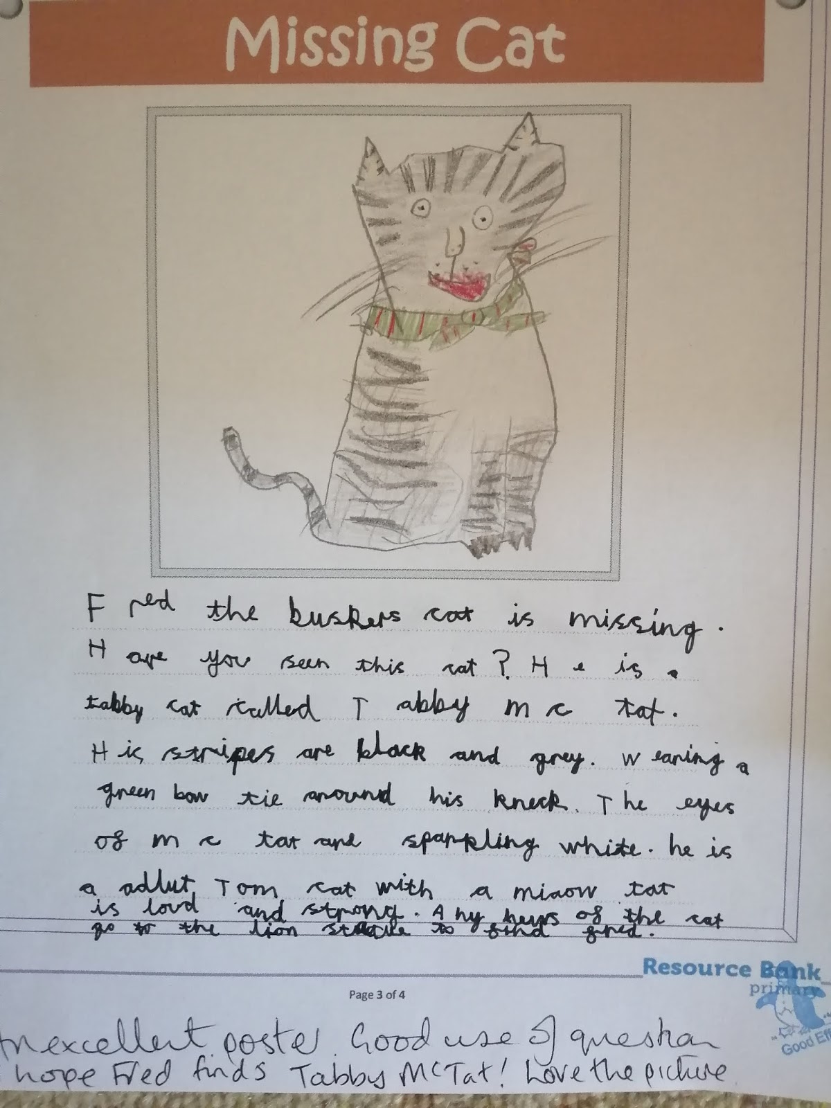 Tabby McTat Missing Cat Poster