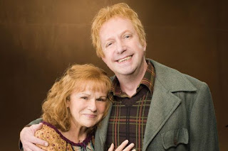 THE GRANDMA'S LOGBOOK ---: THE WEASLEYS, THE ENDANGERED PURE-BLOOD WIZARDS