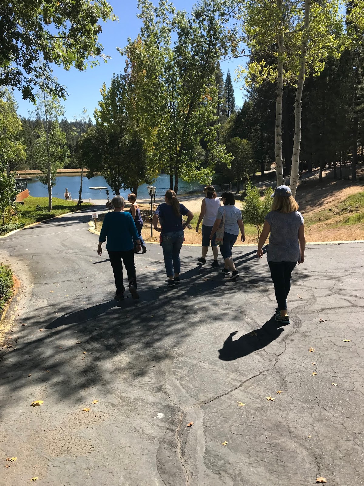 Sew'n Wild Oaks Quilting Blog: Sew'n Wild Oaks Retreat Day Three