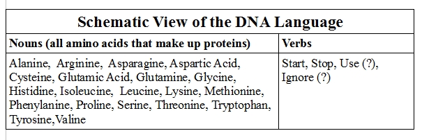 Future and Cosmos: The Gigantic Missing Link of Biological Life