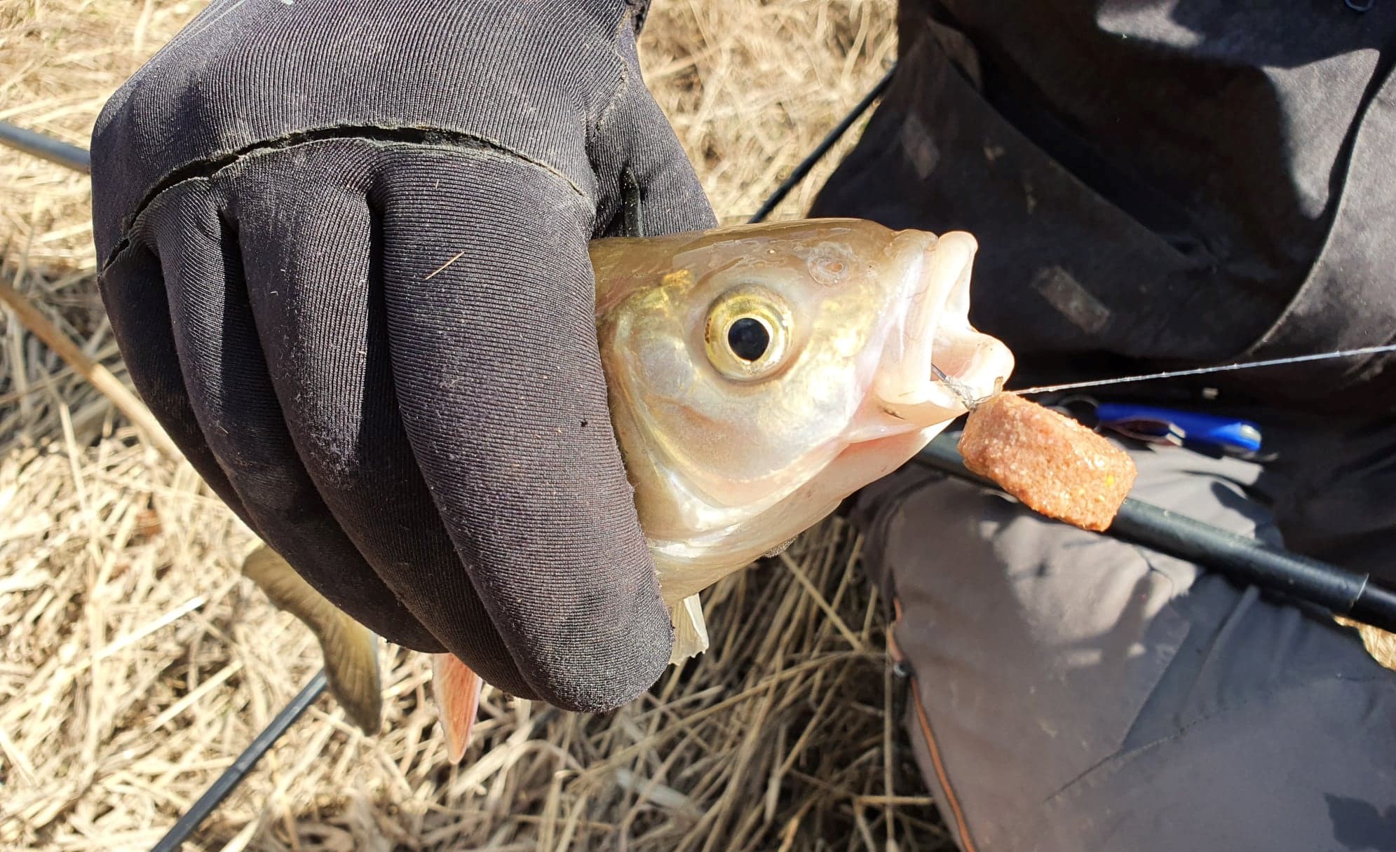 Turvan kalastus - Lue ohjeet ja vinkit