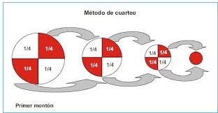 AGRICULTURA CERO: SUELOS - ANÁLISIS