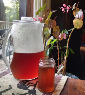 W & W Nursery & Landscaping: Sumac Tea is Rich in Vitamin C