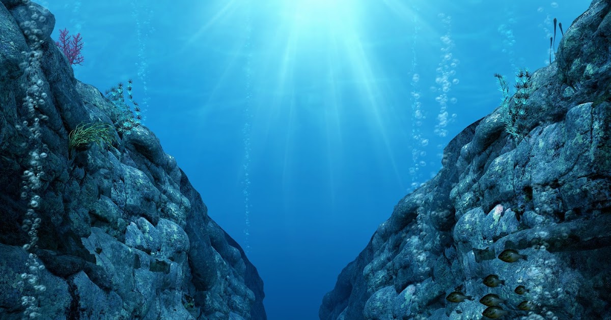 The universe is eternal, infinite and vibrant, a conscious cosmos: 🛸💦 ...