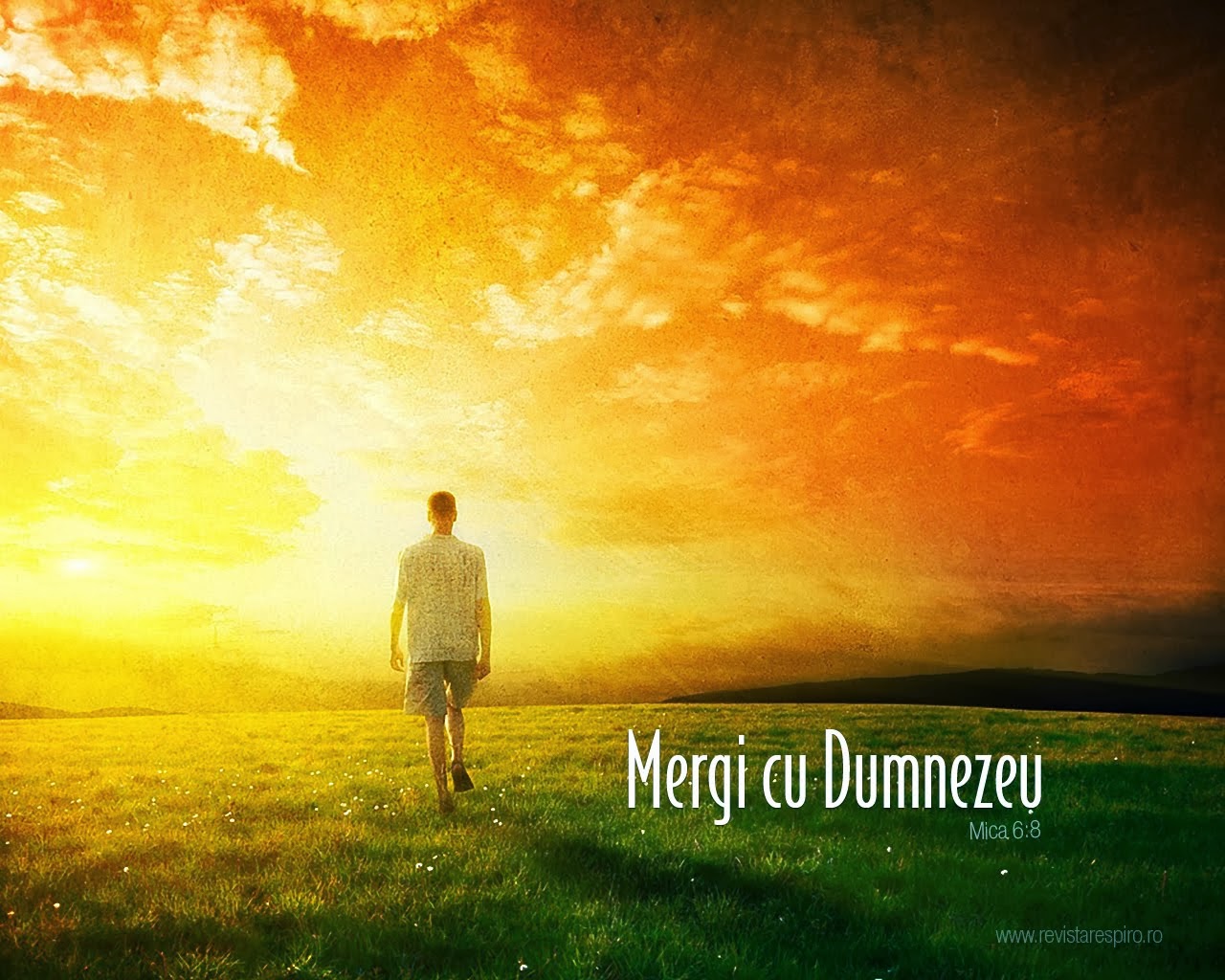 TANARUL DUPA INIMA LUI DUMNEZEU