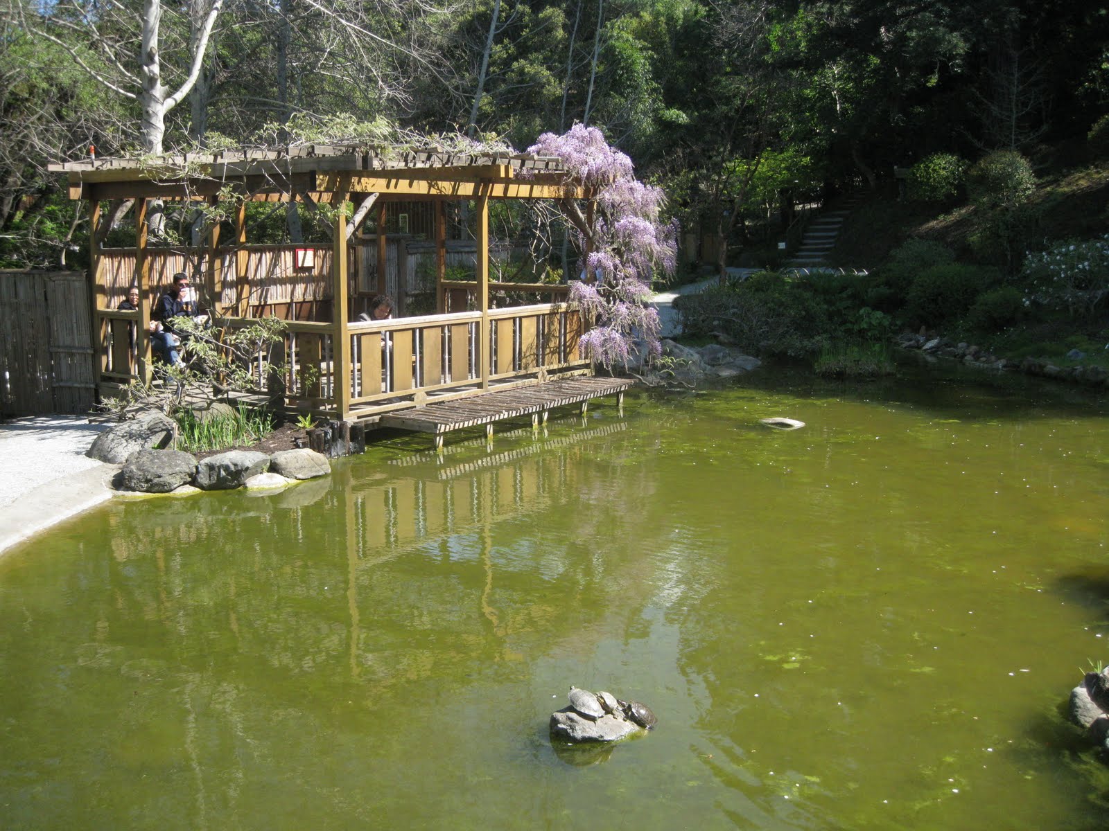 Sissel Olga goes to San Jose: Japansk hage