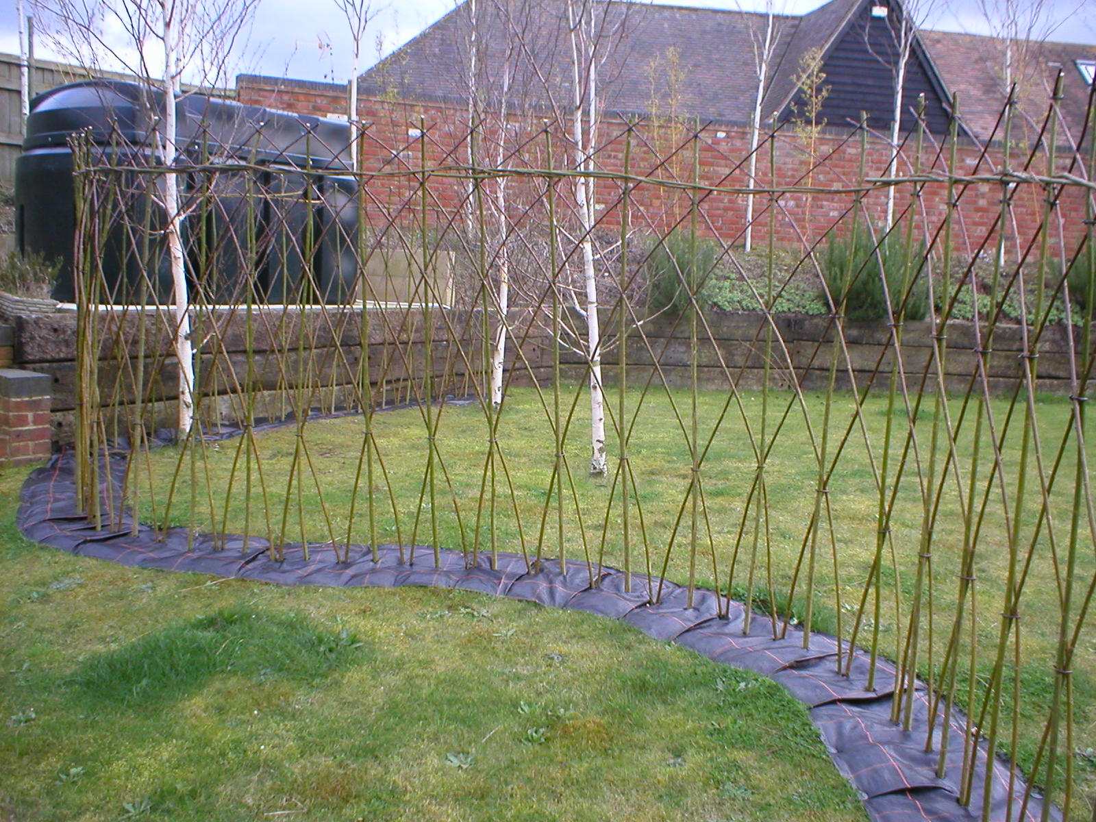 Rachel the Gardener: November 2011