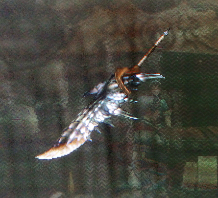 Great Sword: Rathalos Series - MHP3rd Weapon Tree