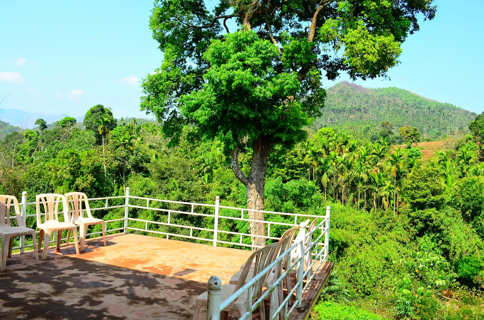 Sharath Hassan A Travelling Photographer: Samse Tea Estate near ...