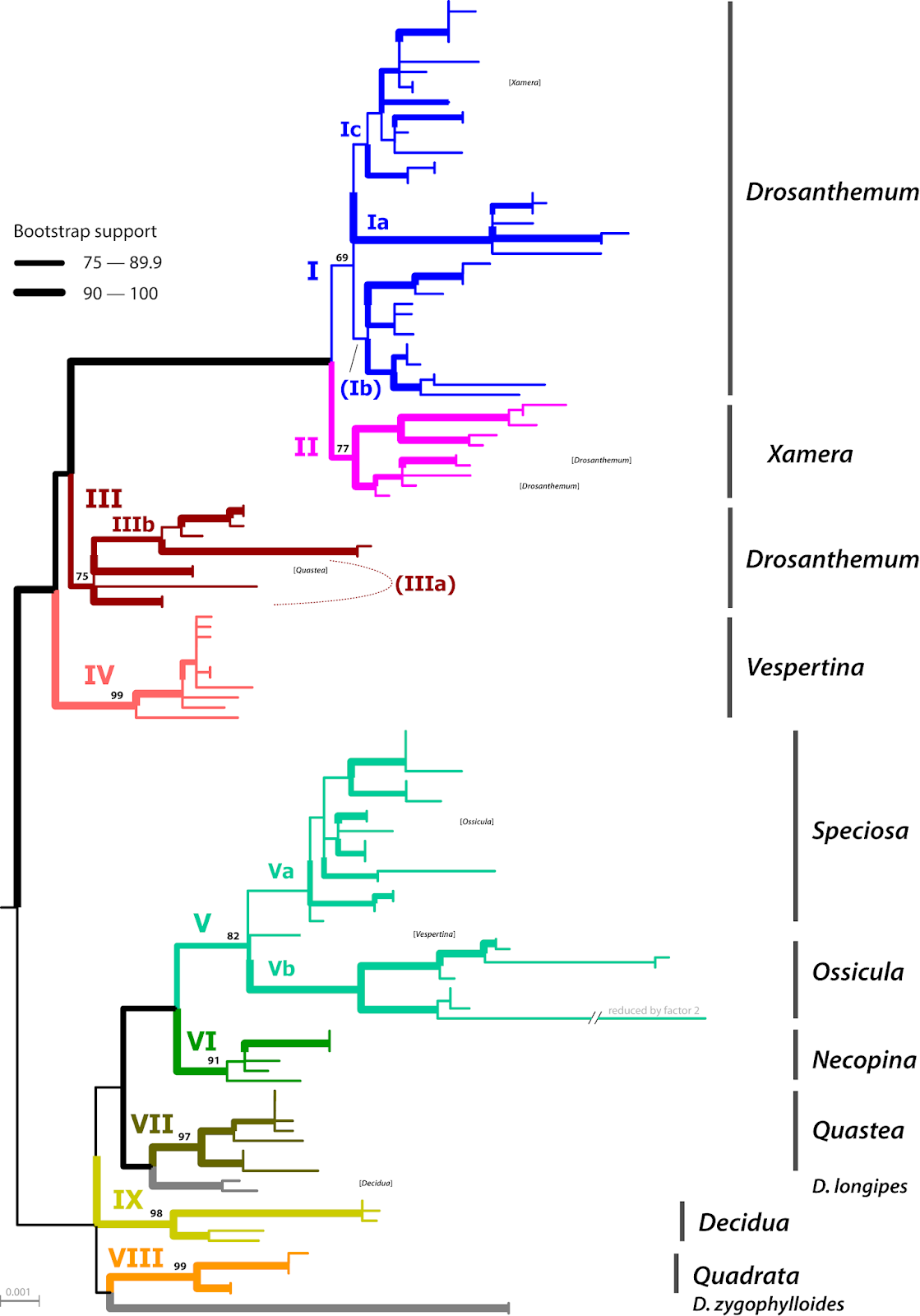 The Genealogical World of Phylogenetic Networks: Trees informing ...