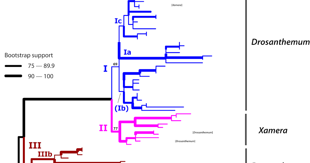 The Genealogical World of Phylogenetic Networks: Trees informing ...