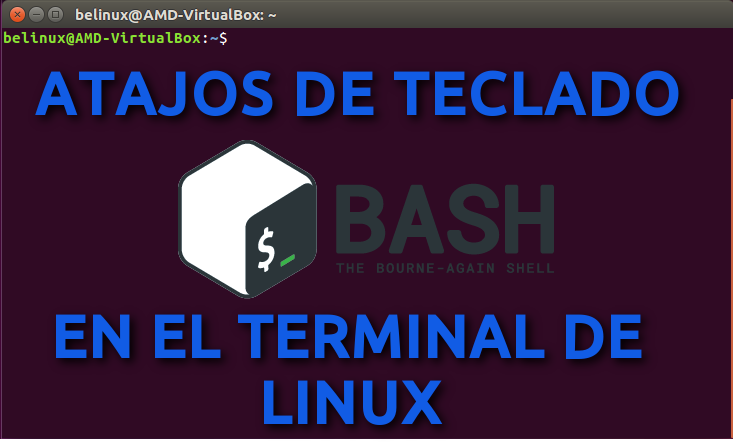 Ubuntu Linux: Atajos de teclado para el intérprete BASH de GNU/Linux