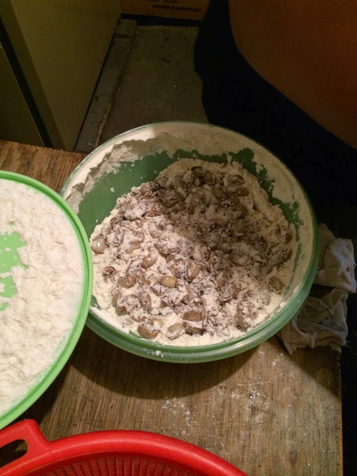 Esfuerzos en Ecuador: Estudio en el Extranjero: Producto 2: Los Catzos