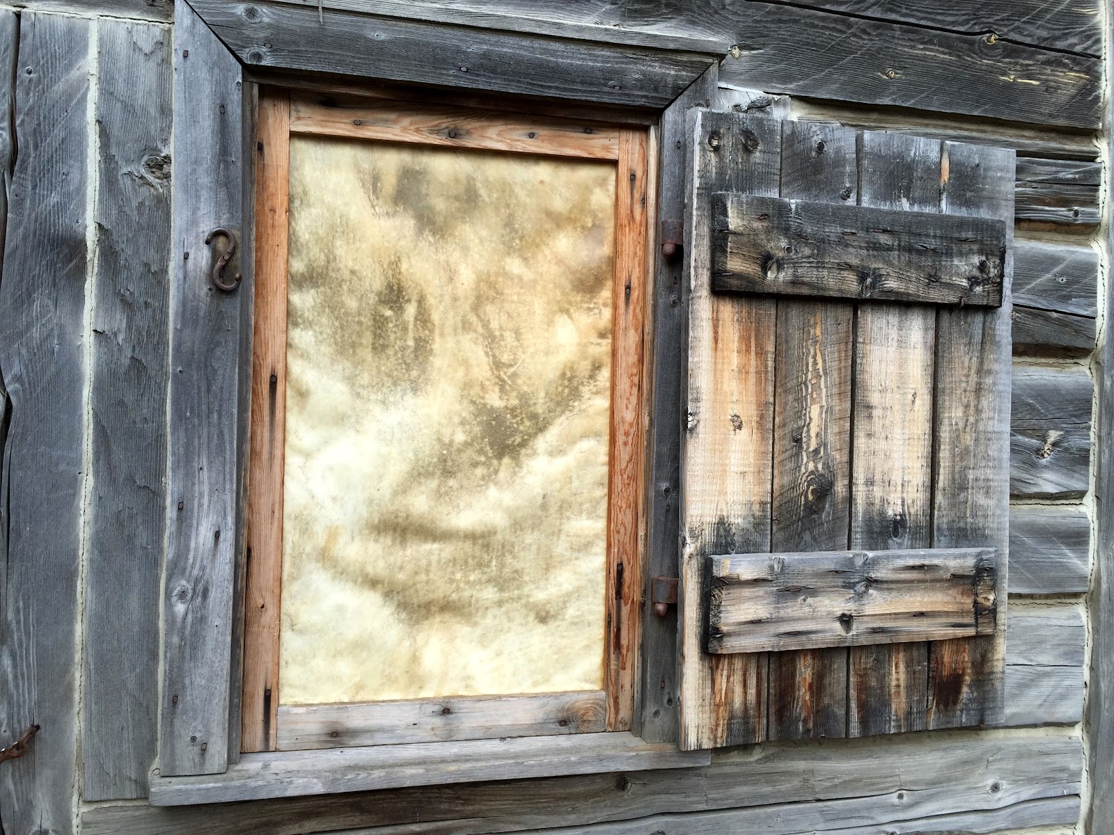 Oiled skin windows : robinhobb