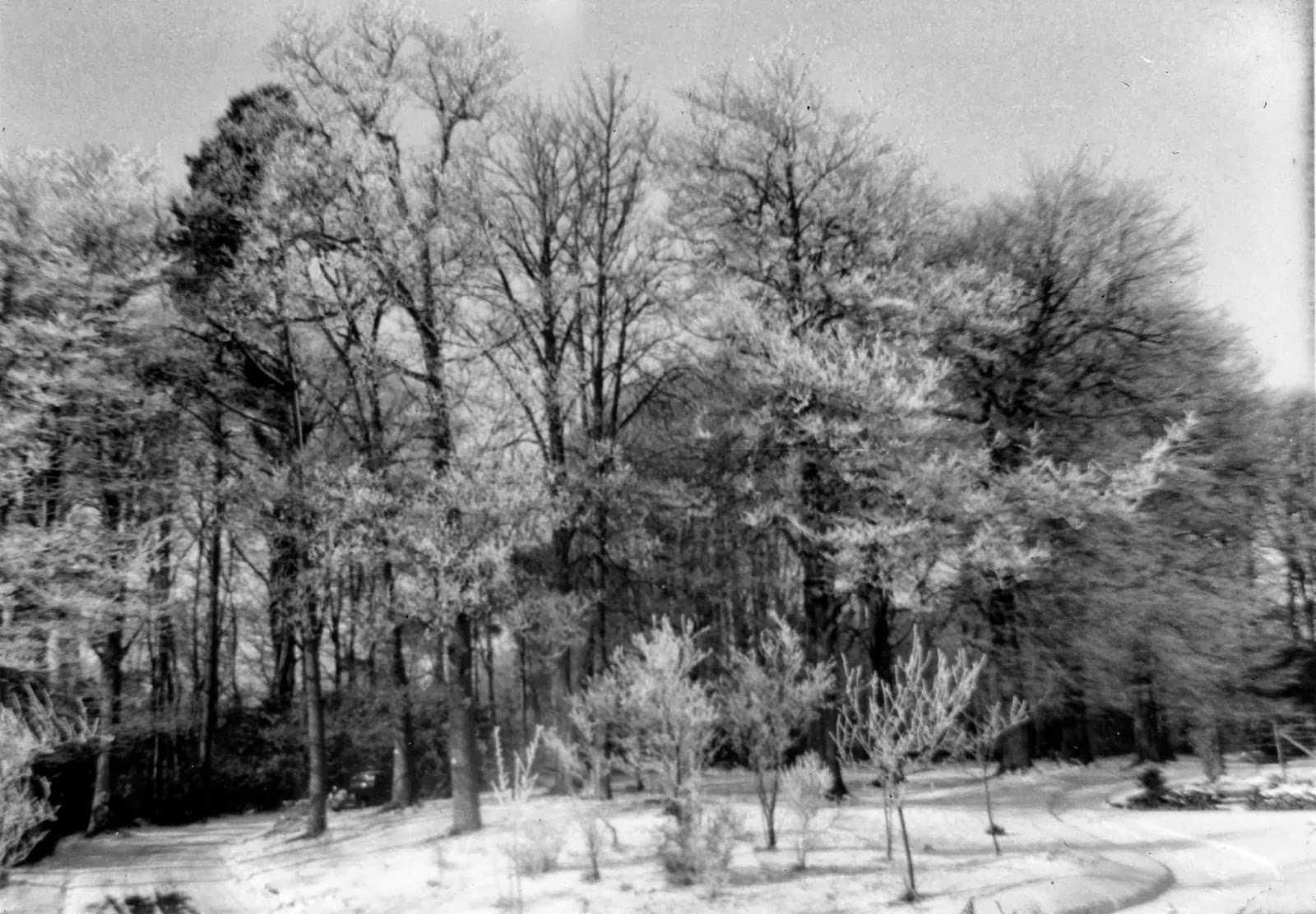 Hydneye House School: Simon Tuite's re-discovered photos...