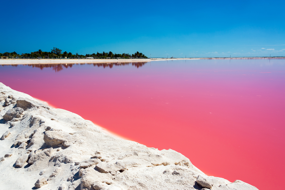 Las Coloradas