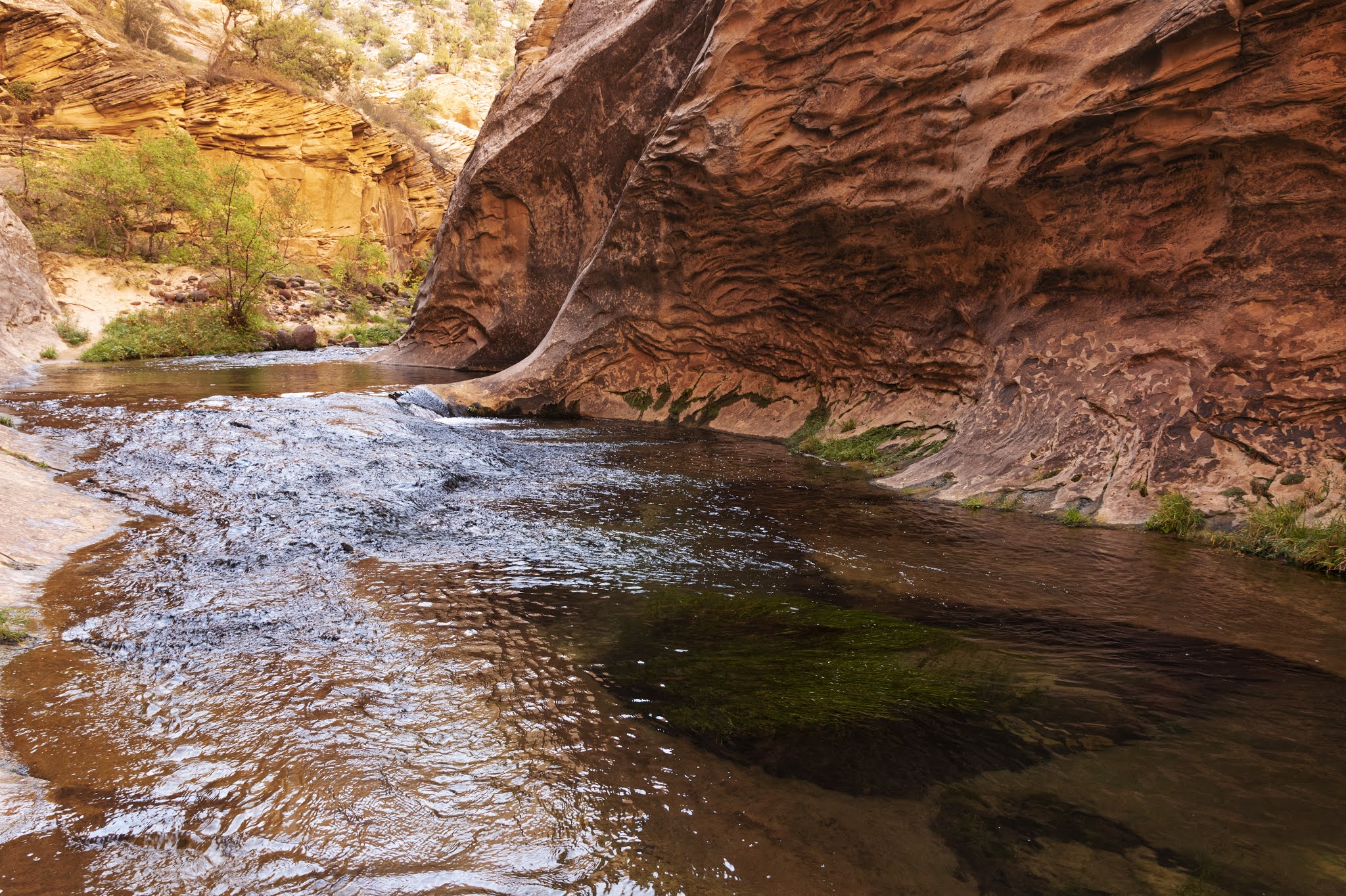 BOX DEATH HOLLOW. ESCALANTE, UTAH - ADAM HAYDOCK