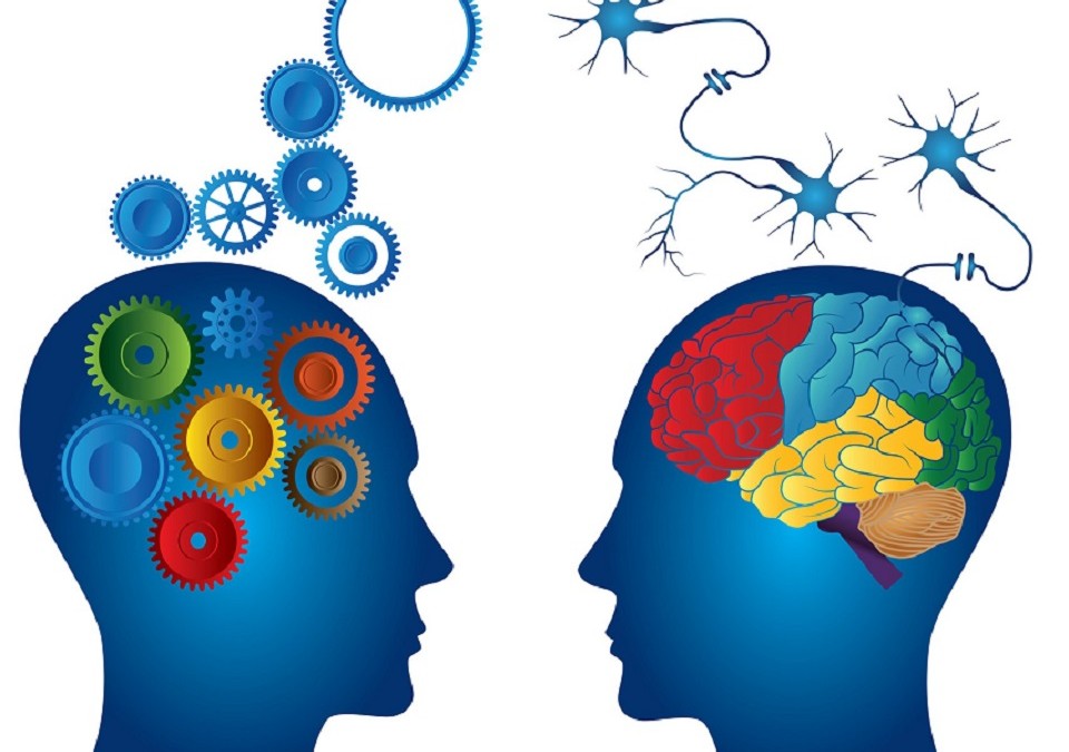 Introducción a la psicología: Procesos Psicológicos