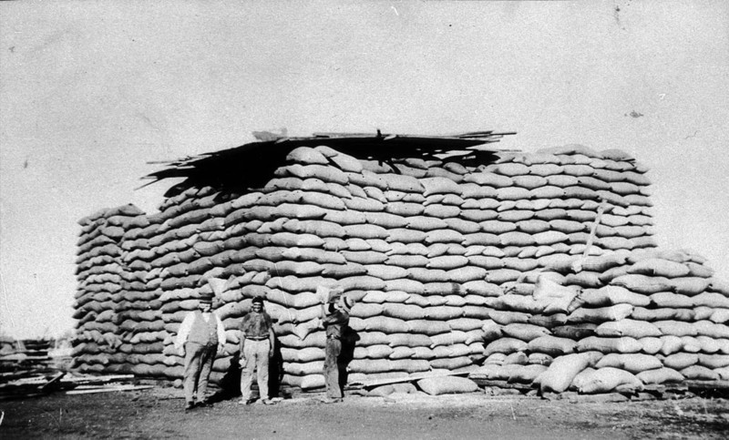 Bytes: Wheat Pics...