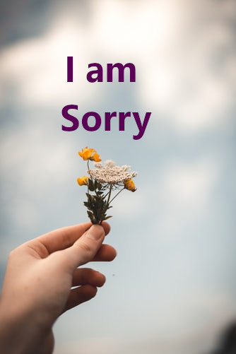 Top 10 Sorry Images greetings pictures photos for WhatsApp Facebook ...