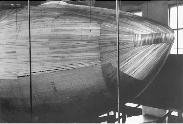 WHALES, CAMPS & TRAILS: The Sulphur Bottom Whale Model 1907